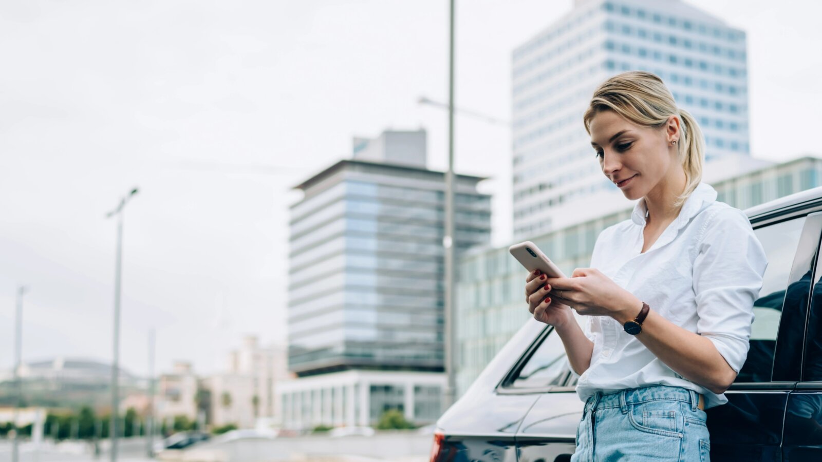 EV Driver Support - VWFS Fleet